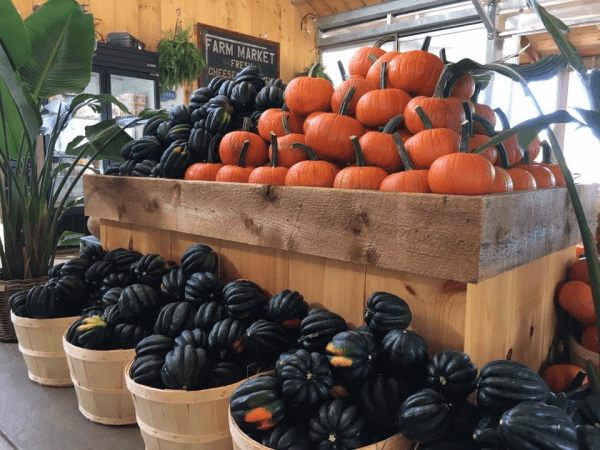 Sam's Place Farm Market – From Our Farm To Your Table