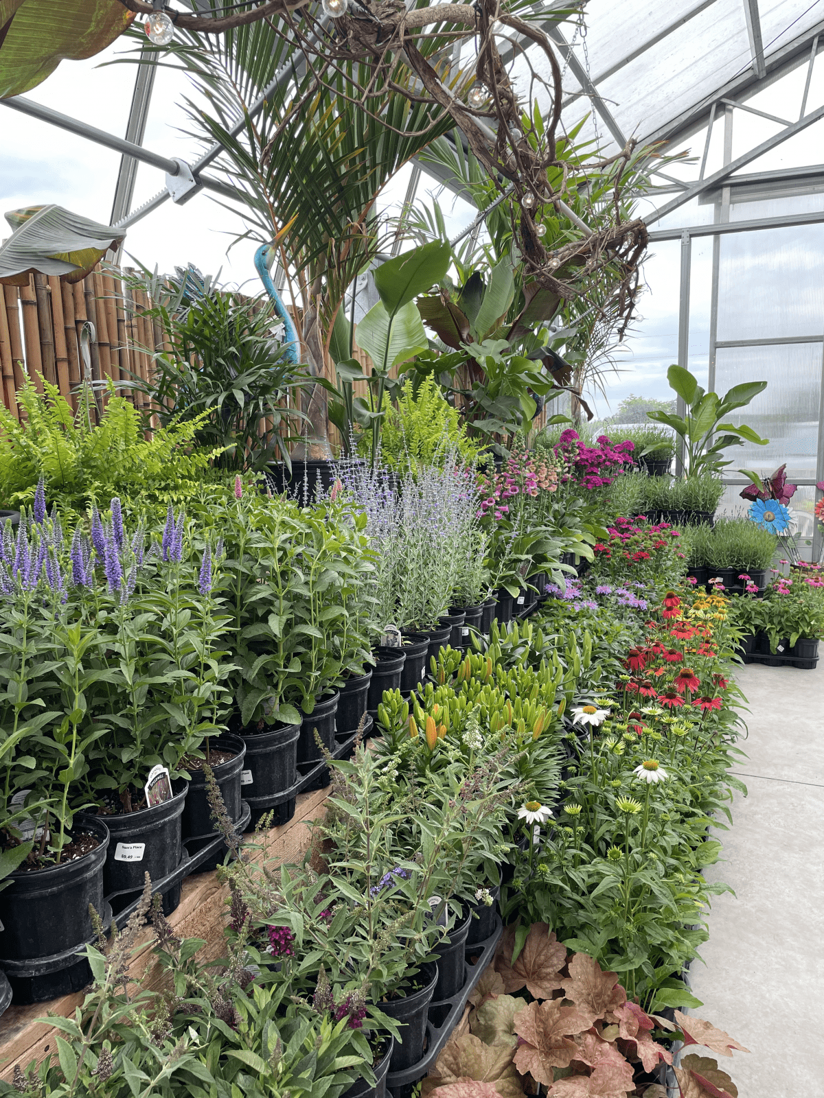 Sam's Place Farm Market – From Our Farm To Your Table